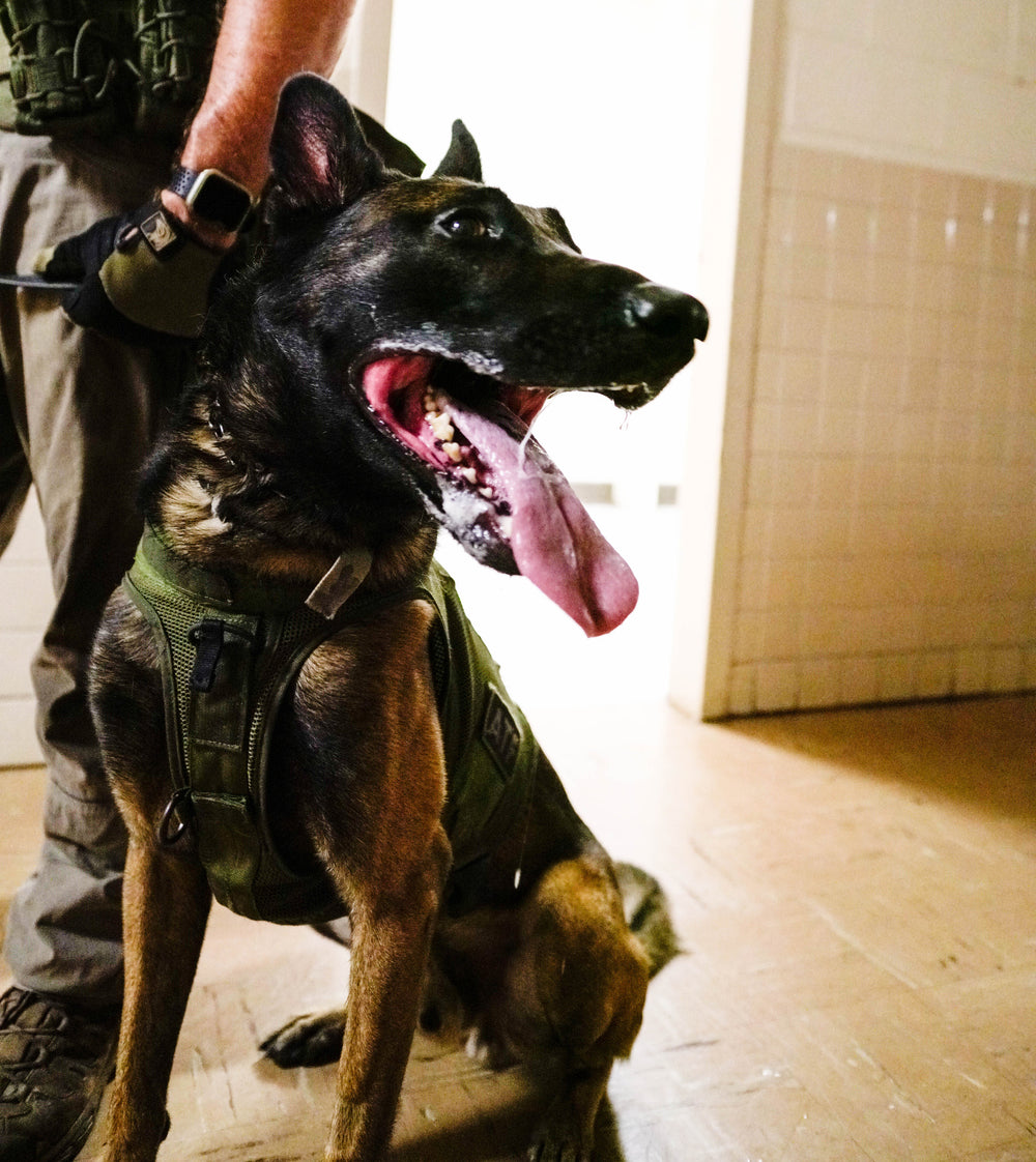 Words from Jimmy Hatch - Spike's K9 Fund