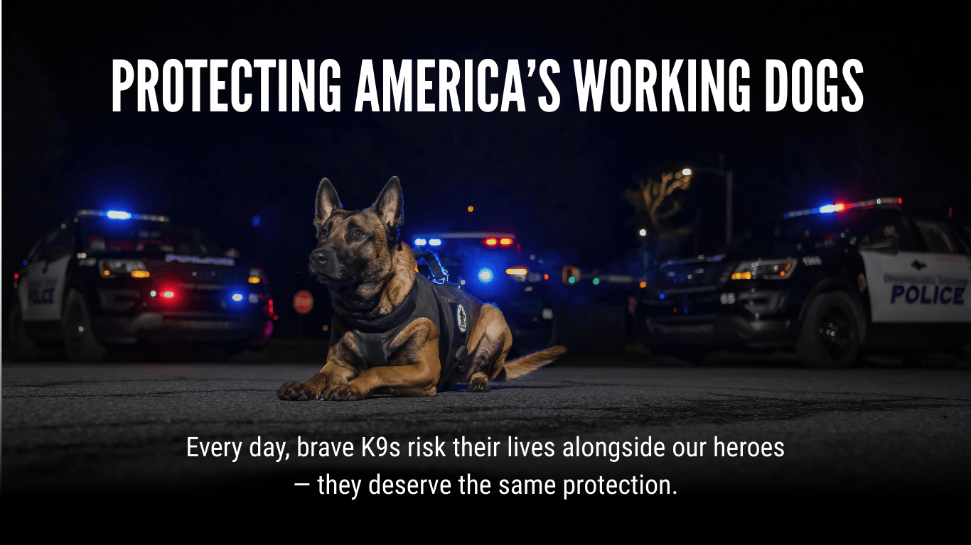 Spike’s K9 Fund – Protecting America’s Working Dogs - Spike's K9 Fund