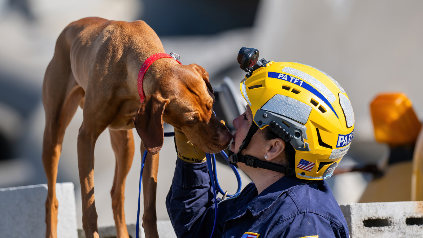 Spike’s K9 Fund – Protecting America’s Working Dogs - Spike's K9 Fund