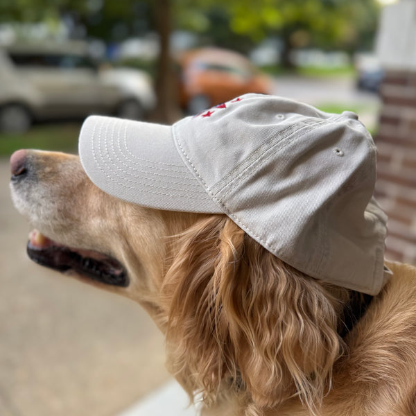 OG Logo Dad Hat - Stone - Spike's K9 Fund